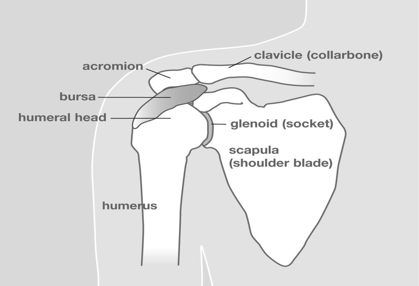 Shoulder Impingement | Raymond Severt, M.D.